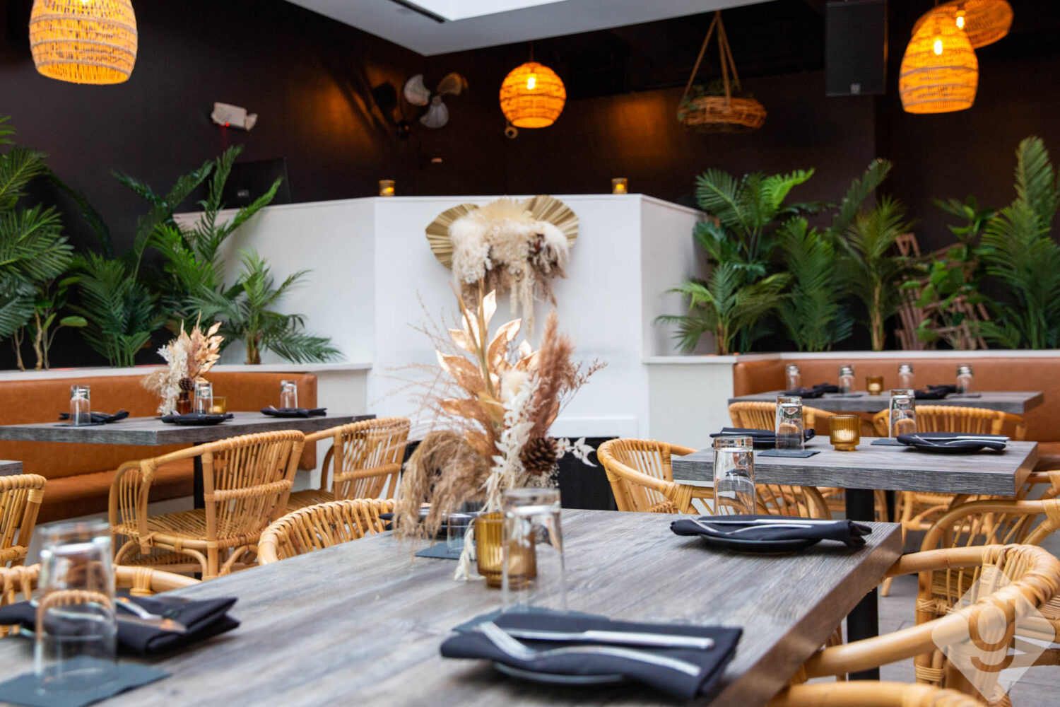 Best Rooftop Bars in Downtown Charleston | Charleston Guru