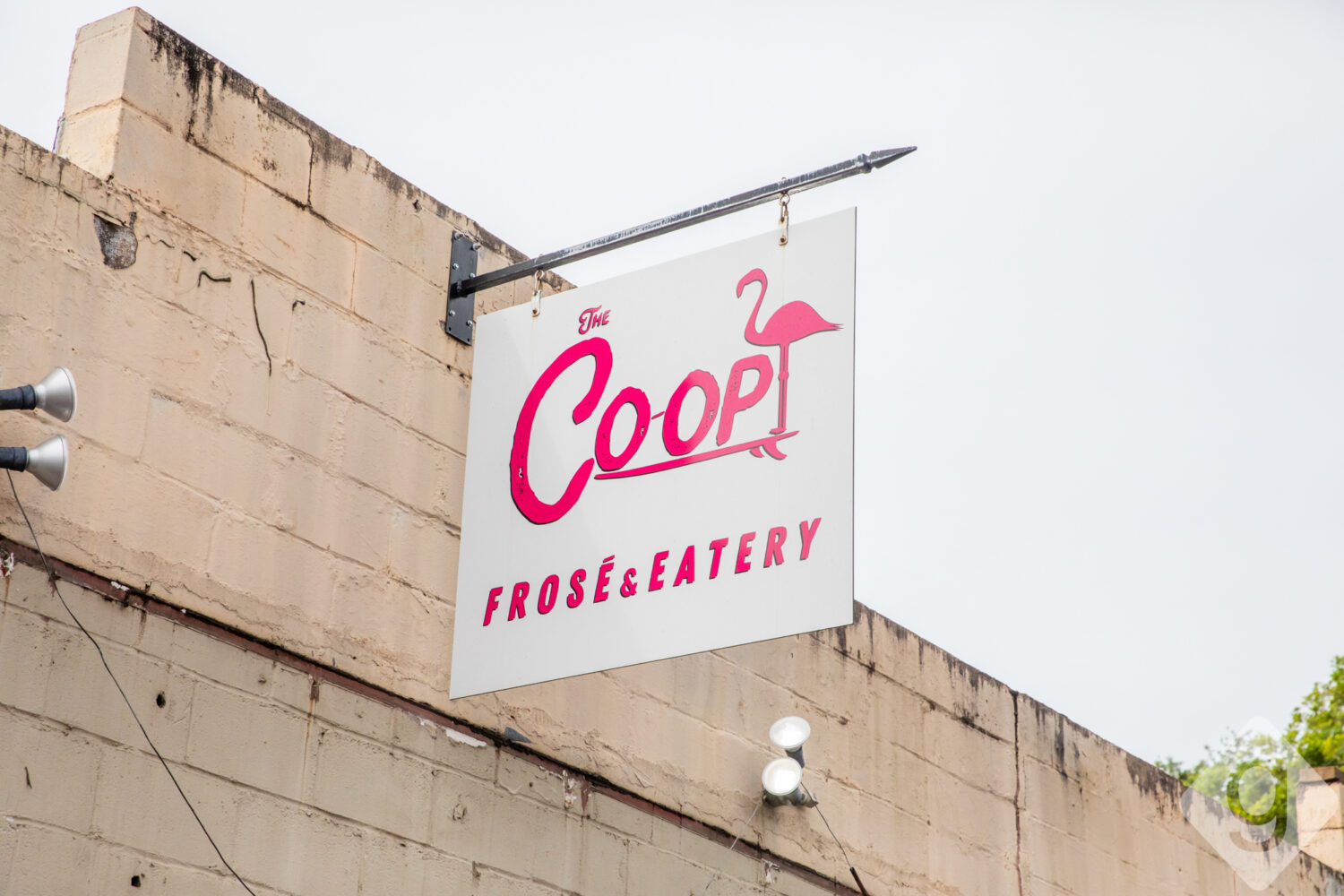 A Look Inside: The Co-Op | Charleston Guru