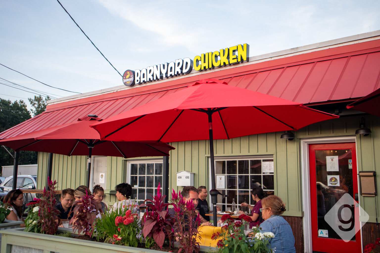Barnyard Chicken | Charleston Guru